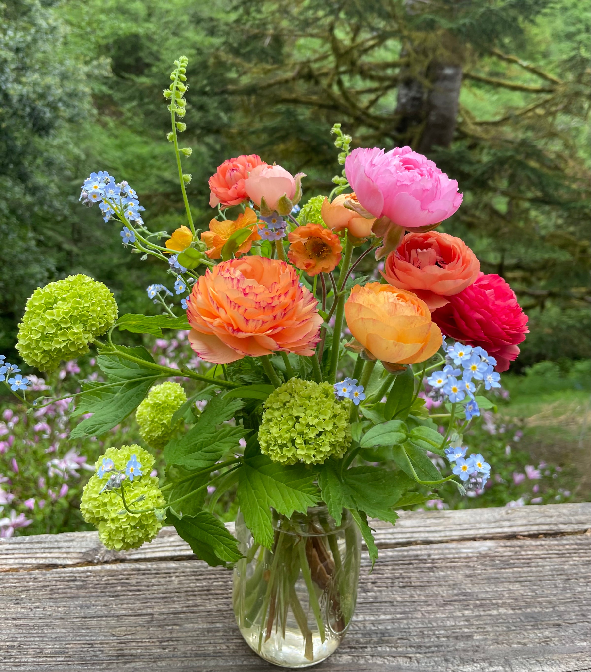 Oregon Coast Flower Farm | Beaver Creek Blooms